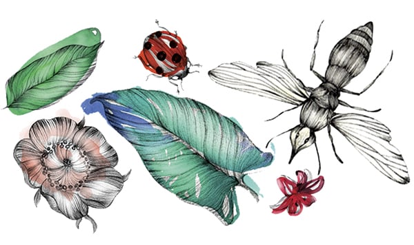 Glimpses of Eden - The Tablet