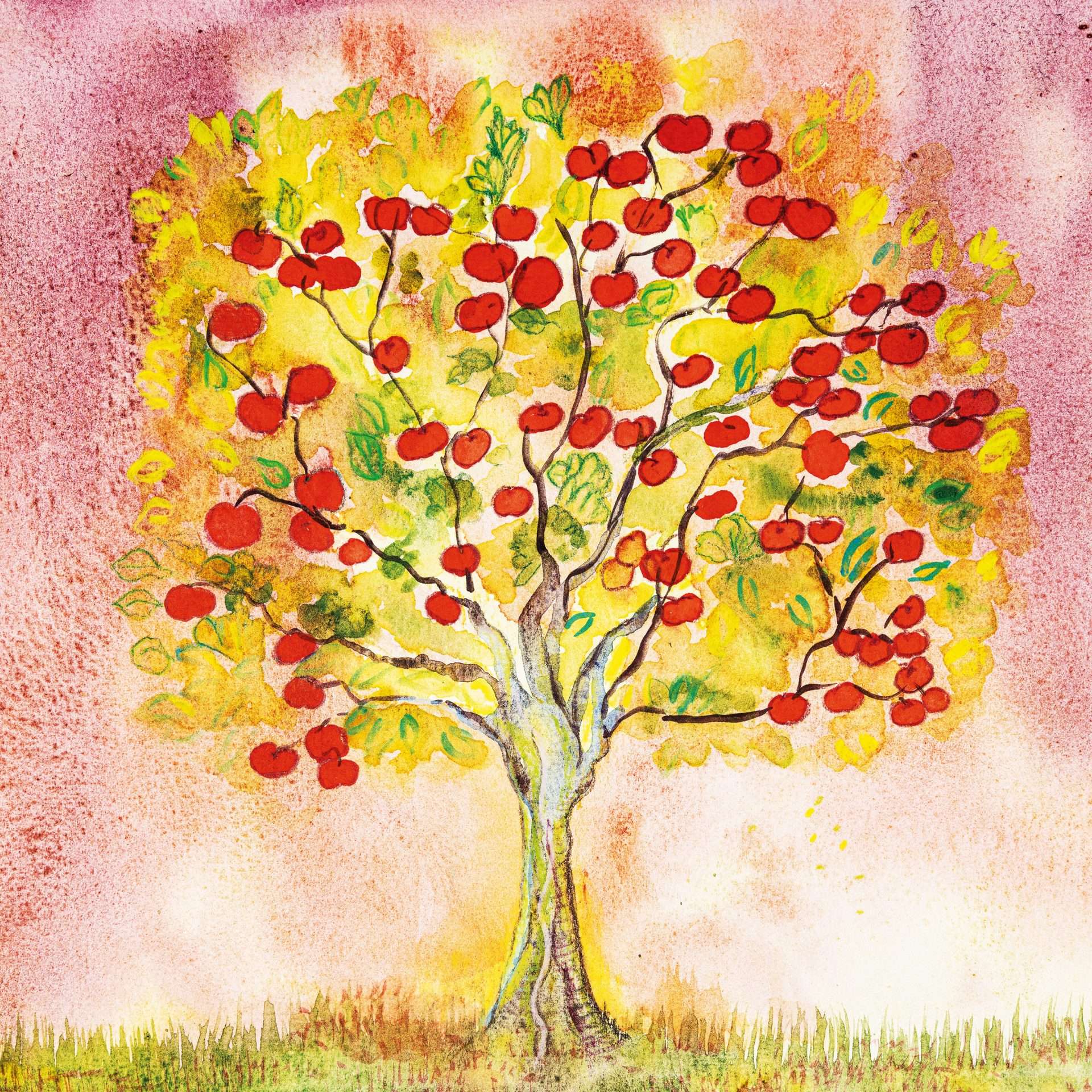 The apple trees - The Tablet