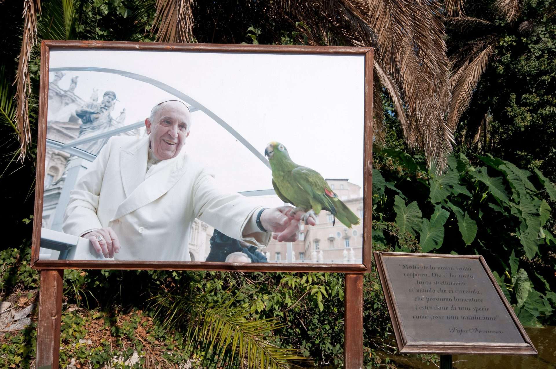 How Pope Francis brought life to buried truths - The Tablet