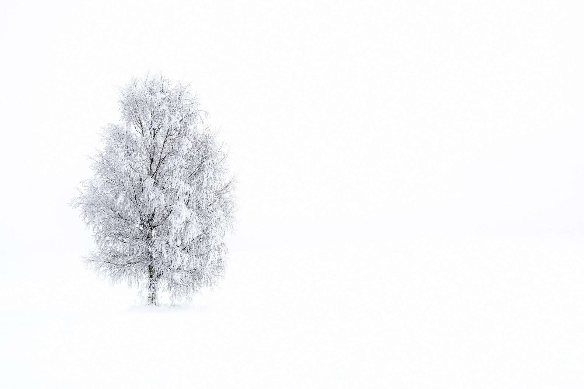 Features - The Tablet