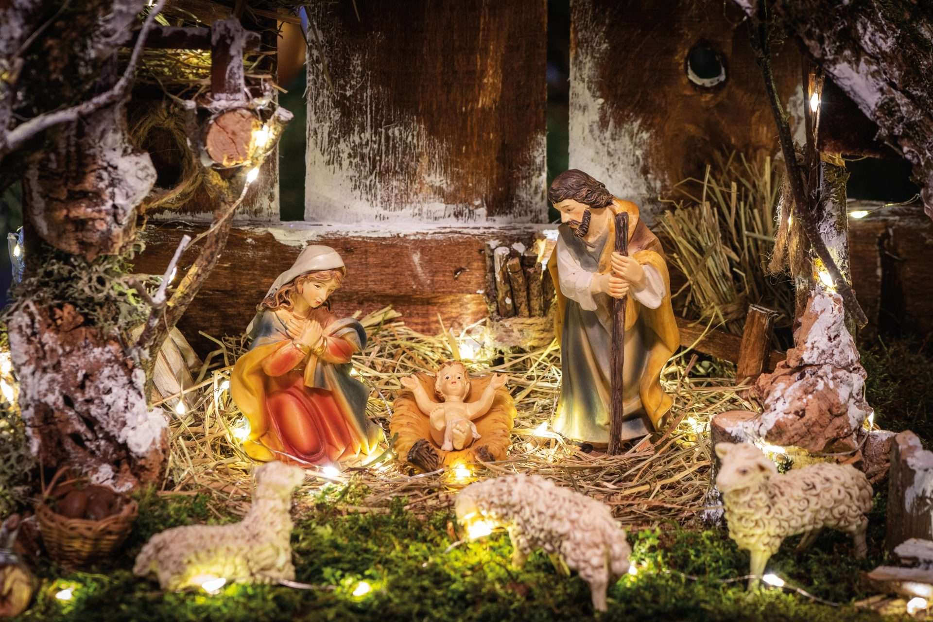 A dinosaur in the stable – the meaning of the patched-up crib - The Tablet