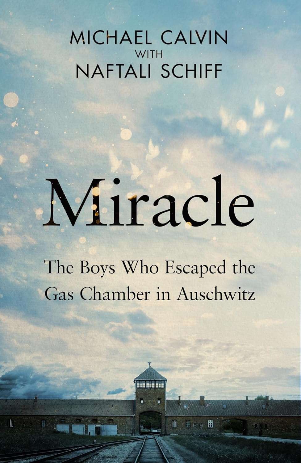 A true account of six Hungarians surviving the Holocaust - The Tablet