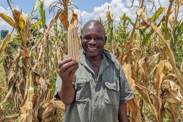 Sciaf Logo The OIDHACO Network Shares The Concern About The Current